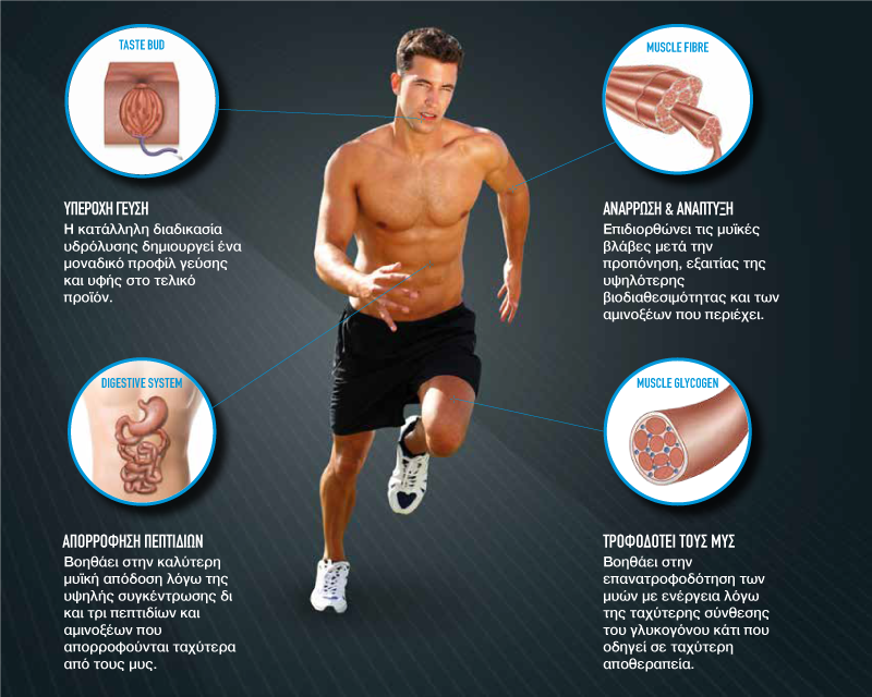 Optipep®90 H καλύτερη ποιότητα υδρολυμένης πρωτεΐνης παγκοσμίως! - X ...